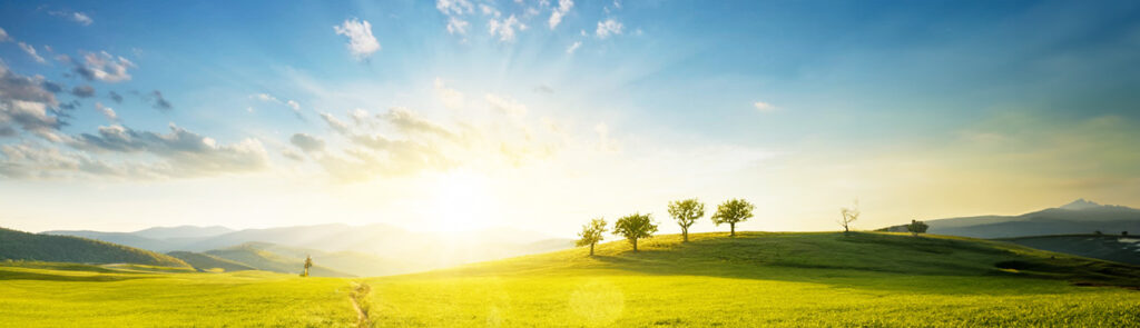 A Lifetime of Healthy Vision - Prevent Blindness